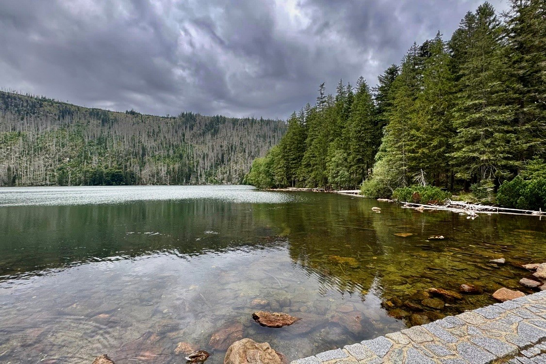Černé a Čertovo jezero: Šumavský ráj pro rodiny i turisty - Pohyb a zdraví